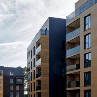 Case Studies | Relocation Strategies